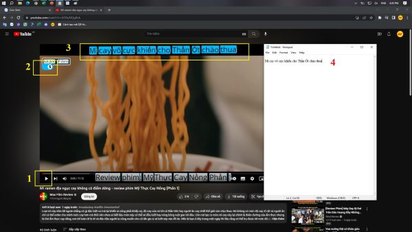 Cách lấy lời thuyết minh, lấy script và copy chữ từ video YouTube
